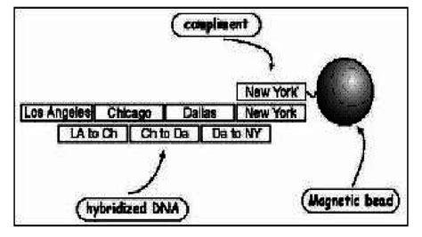 Determination Of Optimum Path Download Scientific Diagram