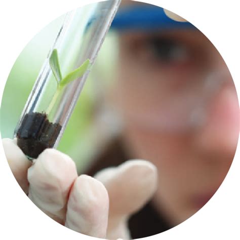 Supplier Alliances Products Dme