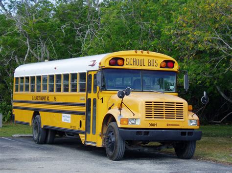 Amerikanisches Schulsystem High School In Amerika Ayusa Intrax Blog