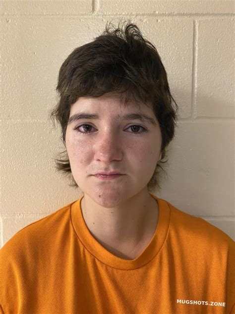 Perkins Aimee Lynette 11 05 2022 Levy County Mugshots Zone