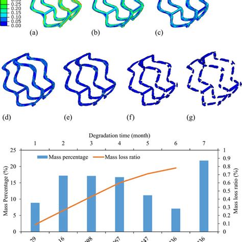 contour of maximum principal strain at a 0 month b first month