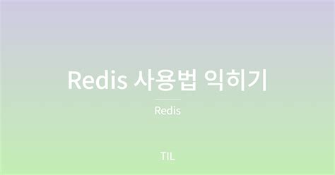 Redis 사용법 익히기