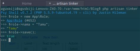 Autentikasi User Menggunakan Role Dan Middleware Di Framework Laravel Mr Agus