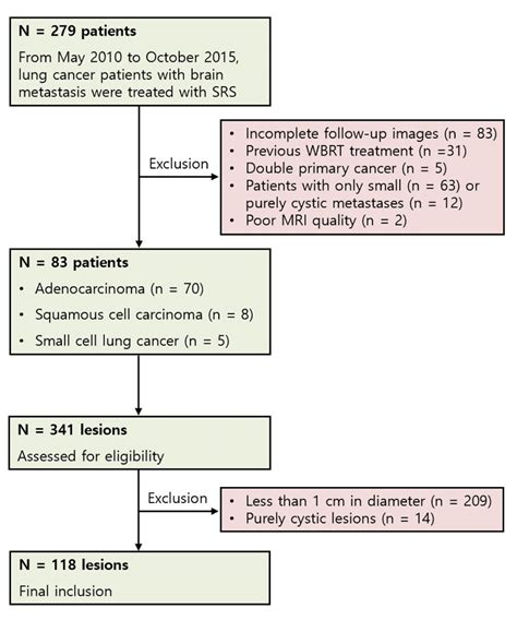 patient and lesion selection flowchart srs streotactic radiosurgery