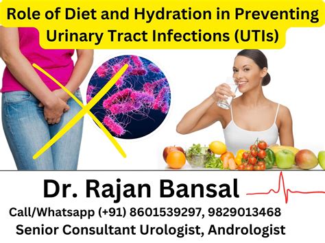 Ureterocele Causes Symptoms Diagnosis And Treatment