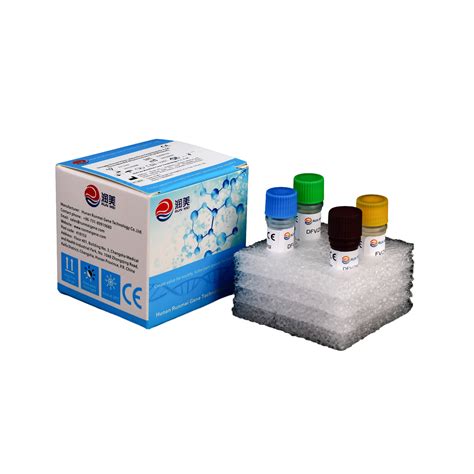 Pcr Test Kit Dengue Fever Virus Zika Virus Nucleic Acid Detection Kit Nucleic Acid Detection