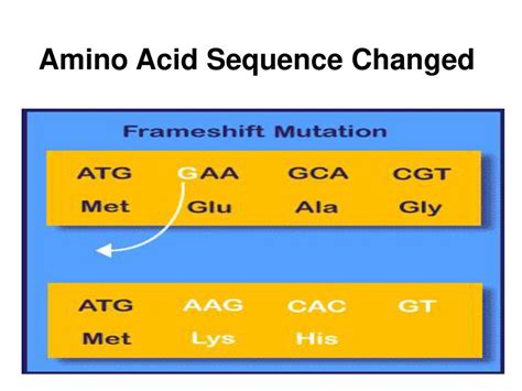 Amino Acid Sequence X At Inez Bennett Blog