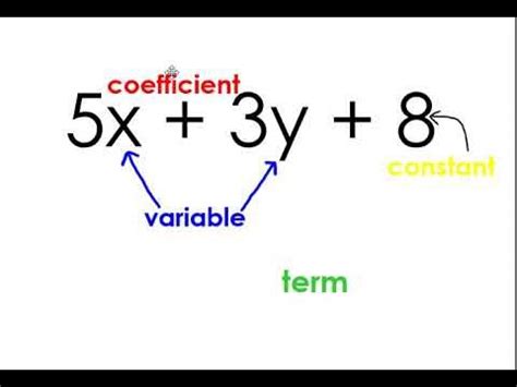 Coefficients, Constants, Variables, & Terms - YouTube