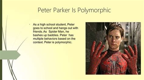 java poly ppt pptx