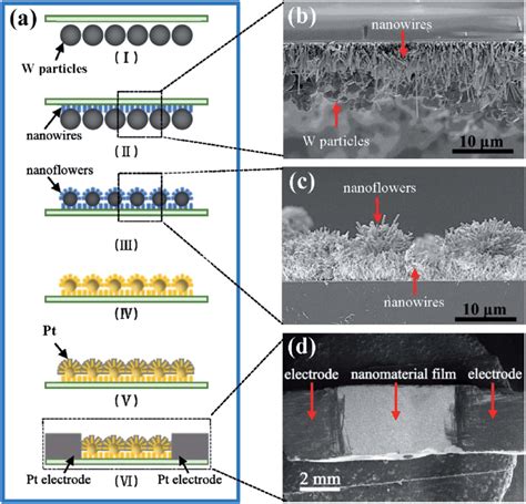 A Schematic Illustration Of The Fabrication Process Of The Gas Sensor Download Scientific
