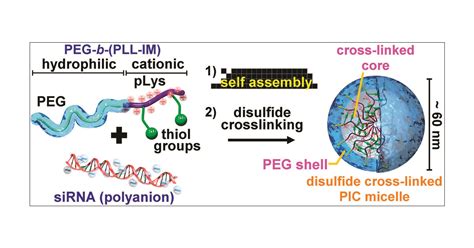 Environment Responsive Block Copolymer Micelles With A Disulfide Cross