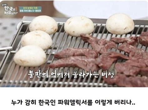 한국인들이 보기에 불편한 장면 유머 움짤 이슈 에펨코리아