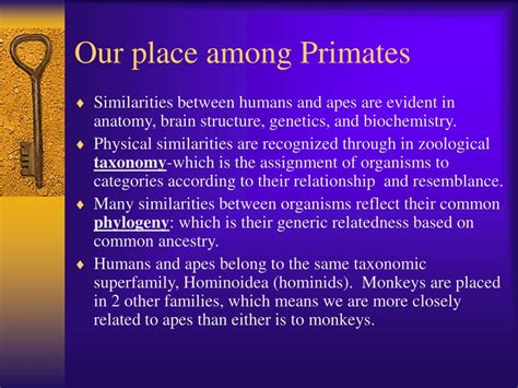 Ppt The Primates Powerpoint Presentation Free Download Id5404895 Ppt The Primates Powerpoint Presentation Free Download Id5404895