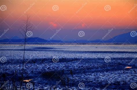 Low Tide And Sunset In Suncheon Bay Jeollanamdo Province South Korea
