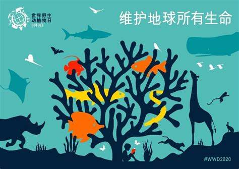 中国社工信息网 社会工作、众合社工、社工招聘、社工研究、行知社工、社工政策、社工信息、社工发展