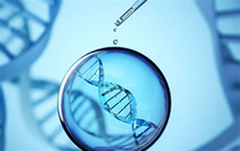 Nucleic Acid Extraction Reagents Wobble Base Bioresearch Private Limited