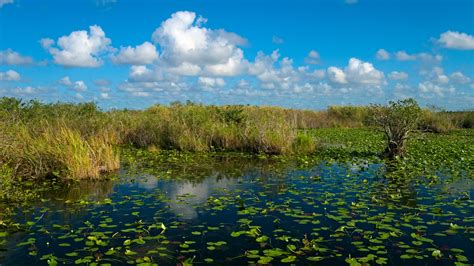 Indigenous Tribes Should Be More Involved In Everglades Restoration