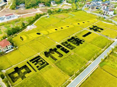 “村博”上新！去余杭中泰竹笛展示馆 感受古今交融的旋律