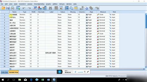 如何將excel資料匯入spss中 Youtube