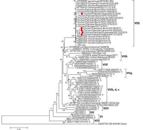 Pathotyping And Genetic Characterization Of Avian Avulavirus 1 And Low Pathogenicity H9n2 Avian