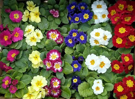 Марков манастир Markov Monastery МОЕТО ДЕТСТВО четврти дел извадок од детското списание