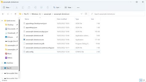 Deploying Acusensor For Net Core Acunetix