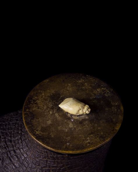 Taxidermy Javan Rhinoceros Foot