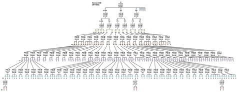 Full Hierarchical Modularity Decomposition For The Human Anatomical