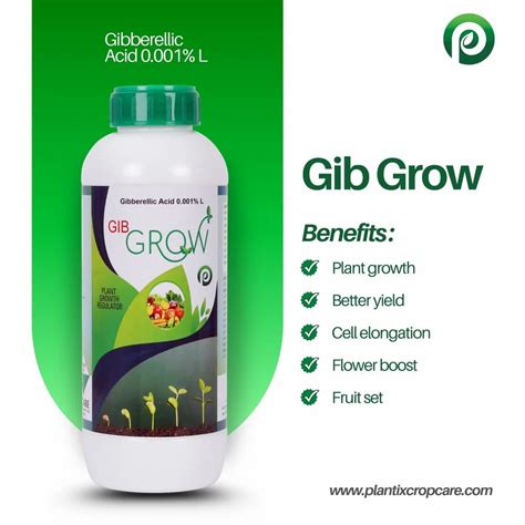 Gib Grow Gibberellic Acid 0001 Sl 1 L Bottle At Best Price In Rajkot