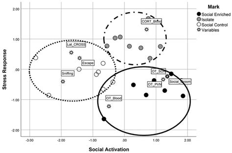 The Multidimensional Scaling Analysis An Additional Statistical
