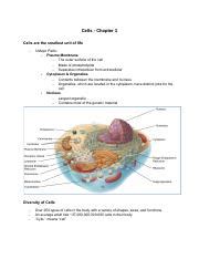 Understanding Cells: Structure, Function, and Diversity | Course Hero