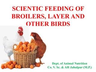 Poultry Nutrition Pdf