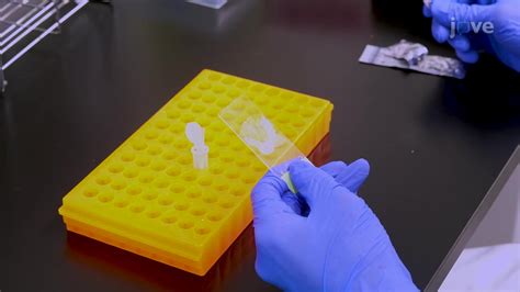 Ffpe Tumor Tissue Macrodissection A Technique To Obtain Specific