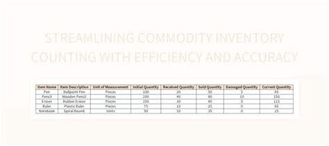 Streamlining Commodity Inventory Counting With Efficiency And Accuracy