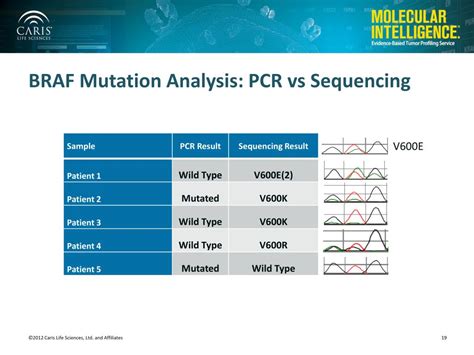 Ppt Cancer Statistics Powerpoint Presentation Free Download Id6625082 Ppt Cancer Statistics Powerpoint Presentation Free Download Id6625082