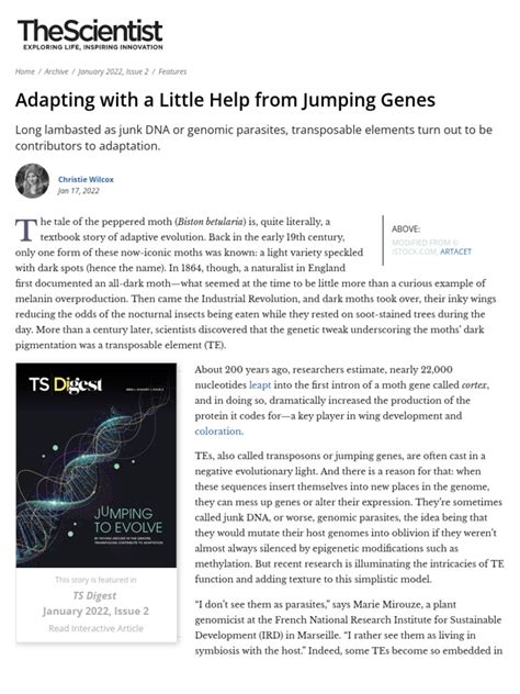 Adapting With A Little Help From Jumping Genes Pdf Transposable