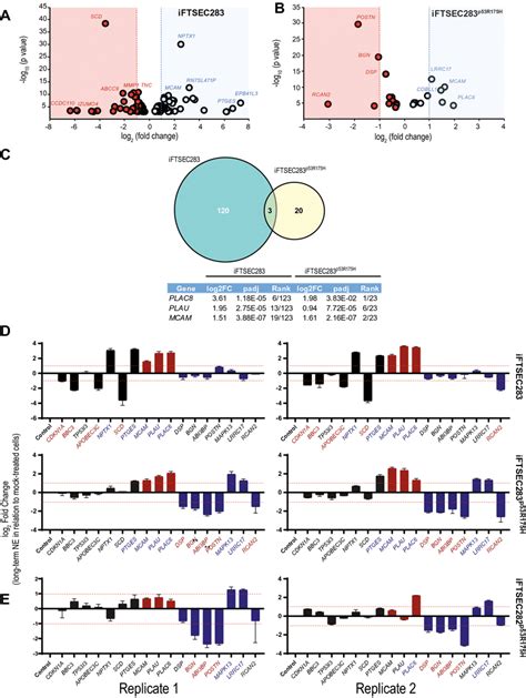 Transcriptomic Profile And Regulatory Motif Enrichment Analysis Download Scientific Diagram