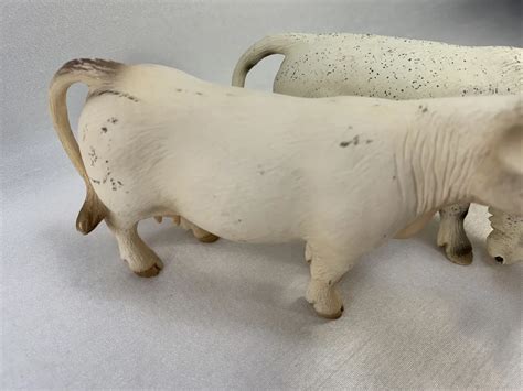 Charolais Bucking Bull