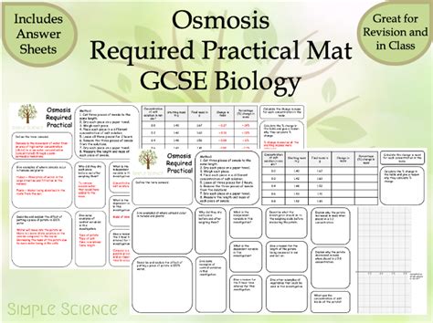 Osmosis Definition Examples Video Lesson Transcript