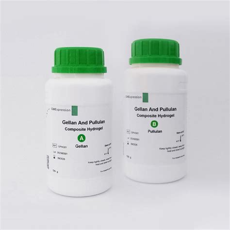 Gellan And Pullulan Hydrogel