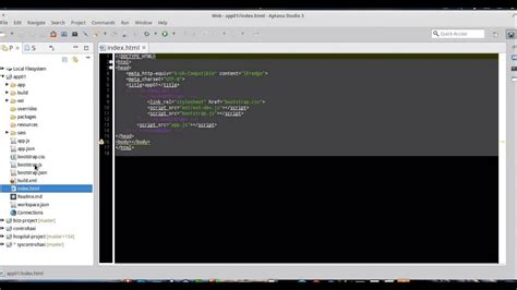 02 Proyecto Inicial Extjs 42 Con Sencha Cmd 60 Youtube
