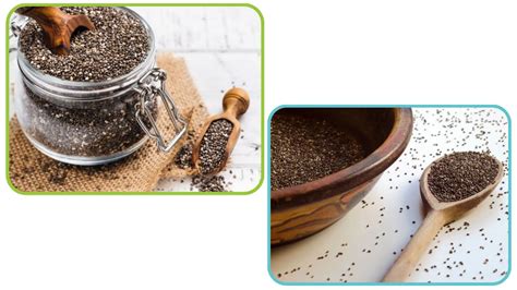 How To Use Chia Seeds For Weight Loss All You Should Know