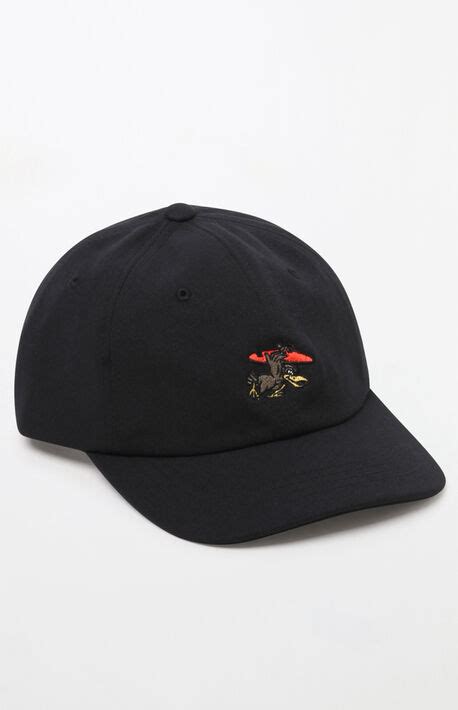 Hats For Men Pacsun