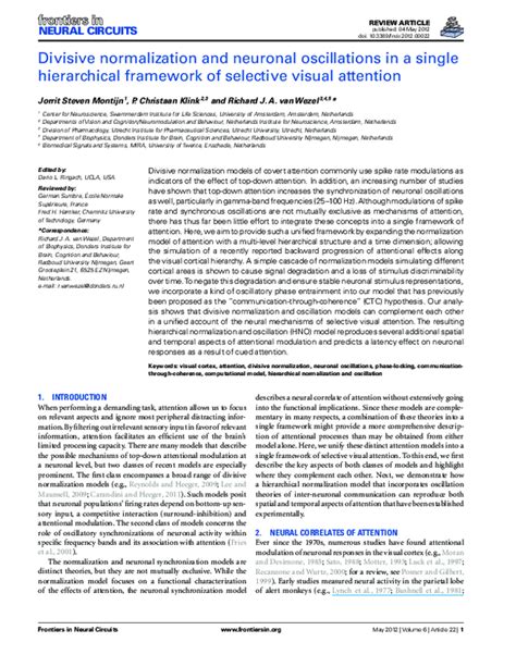 Pdf Divisive Normalization And Neuronal Oscillations In A Single Hierarchical Framework Of