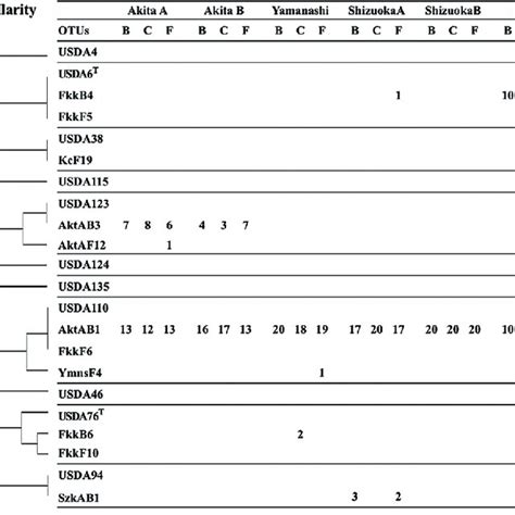 dendrogram of pcr rflp analysis of 16s 23s rrna gene its region of