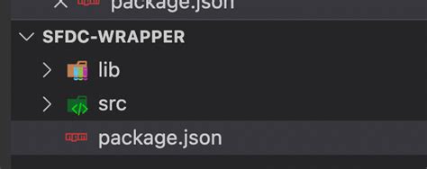 Building A Salesforce API Wrapper With JS Part Project Structure