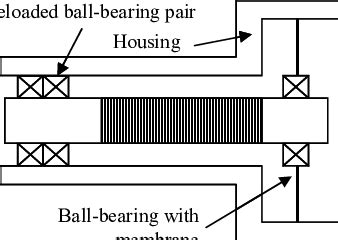 One Double Ball Bearing With Stiff Preload And One Single Ball Bearing Download Scientific