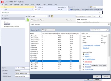 Nano Swinsidb Binary Disassemble