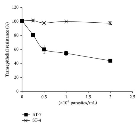 Dose Dependent Effect Of Blastocystis St 4 And St 7 On Transepithelial Download Scientific
