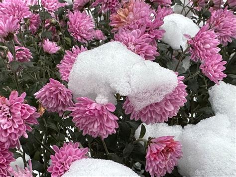 Може це і не зрозуміло але все що ти робиш в житті це все в